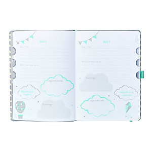 Busy B 6591 Clouds Pregnancy Journal Book