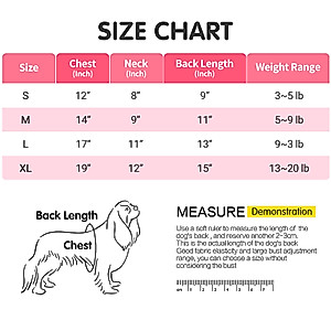 Dog Recovery Suit Dog Onesie for Surgery Recovery, Dog Surgery Recovery Suit for Small Medium Dogs, E-Collar Alternative After Surgery Wear Anti Licking Abdominal Wounds Pet Surgery Recovery Suit