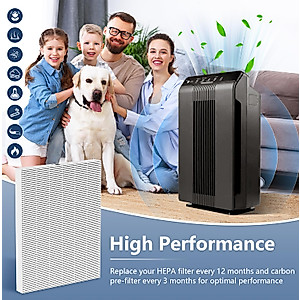 115115 Replacement Filter A Size 21 Compatible with Winix PlasmaWave 5300-2, C535, P300, 6300-2, 5300, 9000 Air Purifier, 2 True HEPA Filter 8 Carbon Pre-Filters