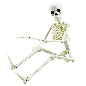 XONOR 16” Posable Halloween Skeleton- Full Body Halloween Skeleton with Movable Joints for Haunted House Props Decorations (1pc)