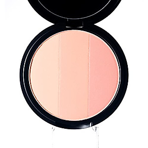 [Too Cool for School] Artclass by Rodin Blusher De Peche