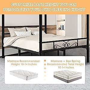 Pliwier Metal Canopy Platform Bed Frame, Queen Size Metal Bed Frame with Headboard, Heavy Duty Steel Slat Support, No Box Spring Needed, Easy Assembly (Queen (U.S. Standard))