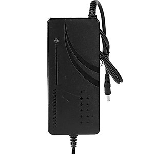 Electric Bike Charger, DC HeadCN Plug 180V-220V 36V/2A, 48V/2A Lithium Battery Charger for Electric Bike (48V/2A)