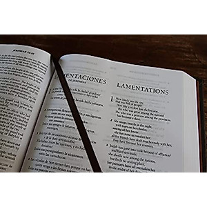 Biblia Bilingüe Reina Valera 1960/ ESV Spanish/English Parallel Bible (English a nd Spanish Edition): Brown Hardcover