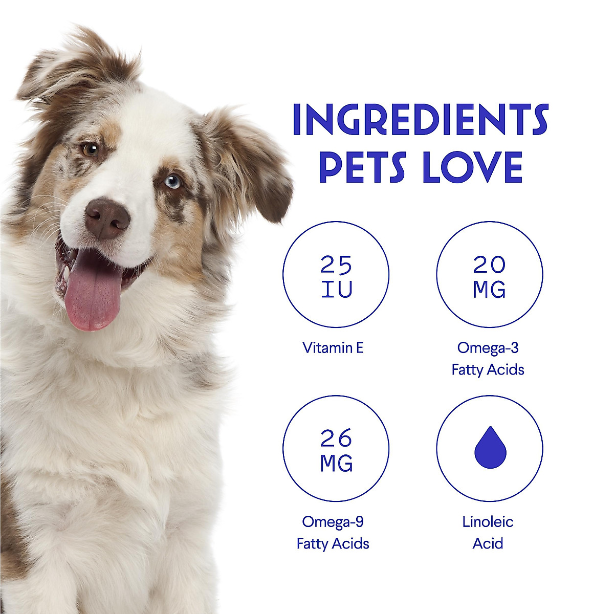 Wonder Paws Skin & Coat Supplement for Dogs with Salmon Oil, Omega 3 & 6, EPA & DHA, Promotes Healthy Skin and Coat, Itchy Relief, Joint and Overall Health, Delicious Flavor, 70 skin & coat Soft Chews