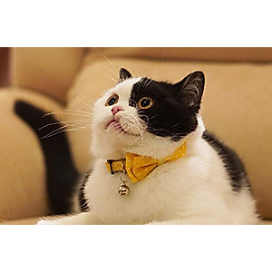 Gyapet Cat Collar Yellow with Bowtie Bell Safety Buckle Breakaway Kitten Puppy 7-11in Dot Colorful Adjustable Dot-Yellow