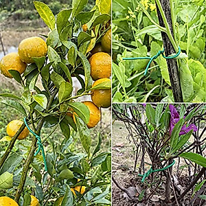 Tenn Well Green Garden Plant Ties, 66 Feet 2.8mm Bendable Plant Training Wire Trellis Wire for Supporting Tomato Plants, Climbing Roses and Cucumbers (2PCS X 33 Feet)