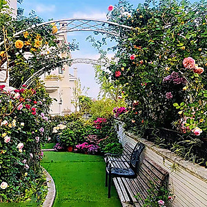 Outdoor Steel Rose Arch Iron Arbor Arch,Heavy Duty Metal Garden Arch, for Various Climbing Plant Outdoor Garden Lawn Backyard (Black)