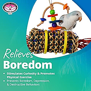 Super Bird Creations SB687 Firecracker Jr. Bird Toy, Medium Bird Size, 18" x 8"