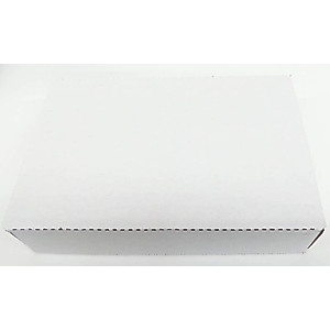 Apple iPad 9.7in 6th Generation WiFi + Cellular (32GB, Silver) (Renewed)