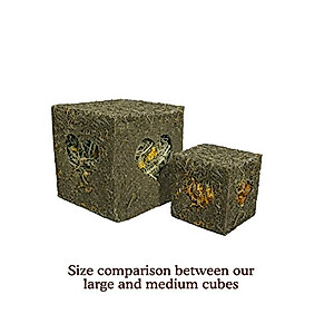 Rosewood Naturals ‘I Love Hay’ Forage Cube, Treat & Toy for Small Animals, Large