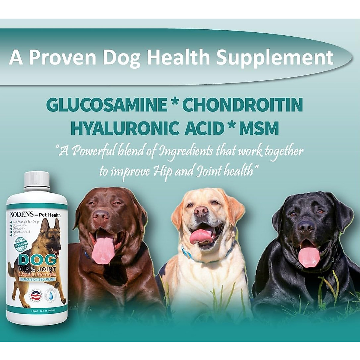 NODENS Dog Hip and Joint - Concentrated Glucosamine for Dogs with Chondroitin – Dog Joint Supplement for Natural Dog Pain Relief Anti-inflammatory for Improved Joint Flexibility and Mobility - 942 ml