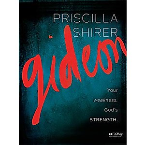 Gideon: Your Weakness. God's Strength. Bible Study Book