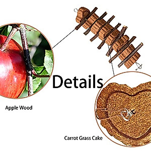 MUYG Bunny Carrot Cake Chew Toys,Rabbit Teeth Grinding Hanging Chinchillas Molar Toy Improve Dental Health Natural Apple Sticks for Guinea Pigs Rats Hamsters Gerbils(4 Packs)