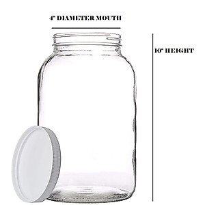 kitchentoolz 1 Gallon Extra Large Glass Mason Jar - Wide Mouth with Airtight Lid - Safe Container for Fermenting, Pickling, and Storing