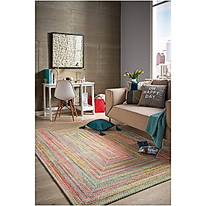 Capel Rugs Baby's Breath 4 x 6 Rectangle Braided Area Rug (Natural)
