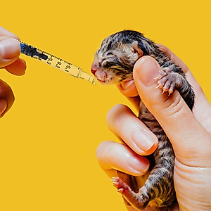 Nuanchu 15 Pieces 1 ml Plastic Syringes with Measurement Multiple Uses Tools for Measuring Liquids, Watering, Feeding Pets, Oil or Glue Applicator