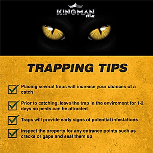 KINGMAN PRIME Mouse Trap Rat Trap Glue Trap/Board (Large Size) (6 Pack / 12 Traps) Rodent Trap Safe Easy Non-Toxic