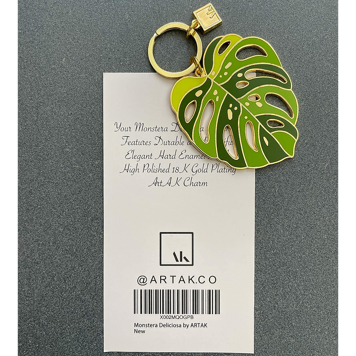 ArtAK Plant Keychains for Women Cute Keychain Key Chain Plant Lover Gifts Plant Lady (Gold Monstera)