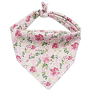 Lionet Paws Dog Bandana for Small Medium Large Dogs, Cat Dog Kerchief Dog Triangle Bibs Scarf for Girl
