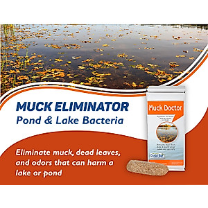 Muck Doctor, 5 Biological Spikes to Reduce Muck, Perfect for Beach Fronts, Lake Docks and Swimming Areas
