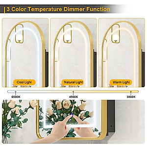 Mepplzian Lighted Arched Medicine Cabinet,Gold Medicine Cabinet Mirror,Recessed Medicine Cabinet with Mirror,Led Medicine Cabinet Mirror for Bathroom,Medicine Cabinet with Lights,Wall Mounted,20x31''