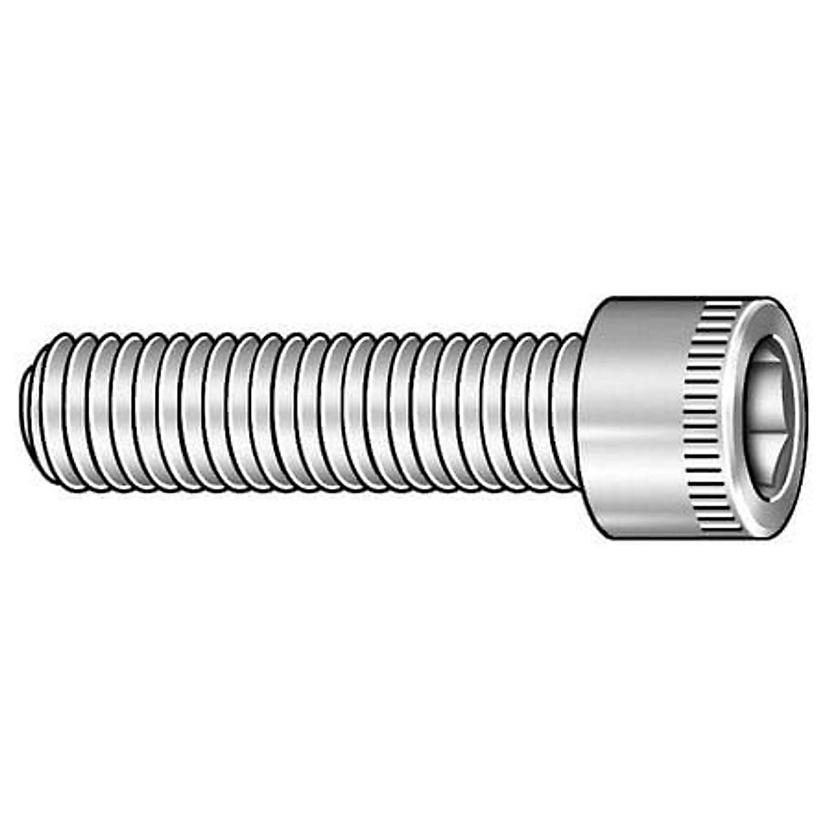 #12-24 x 1/2" 18-8 Stainless Steel Socket Head Cap Screw, 10 pk.