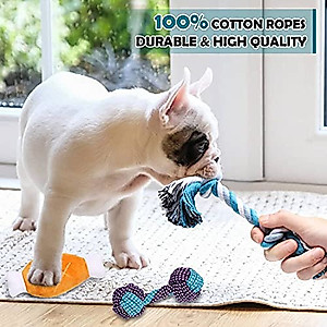 BUIBIIU Dog/Puppy Teething Toys, Assorted Chew Toys, 6 ct