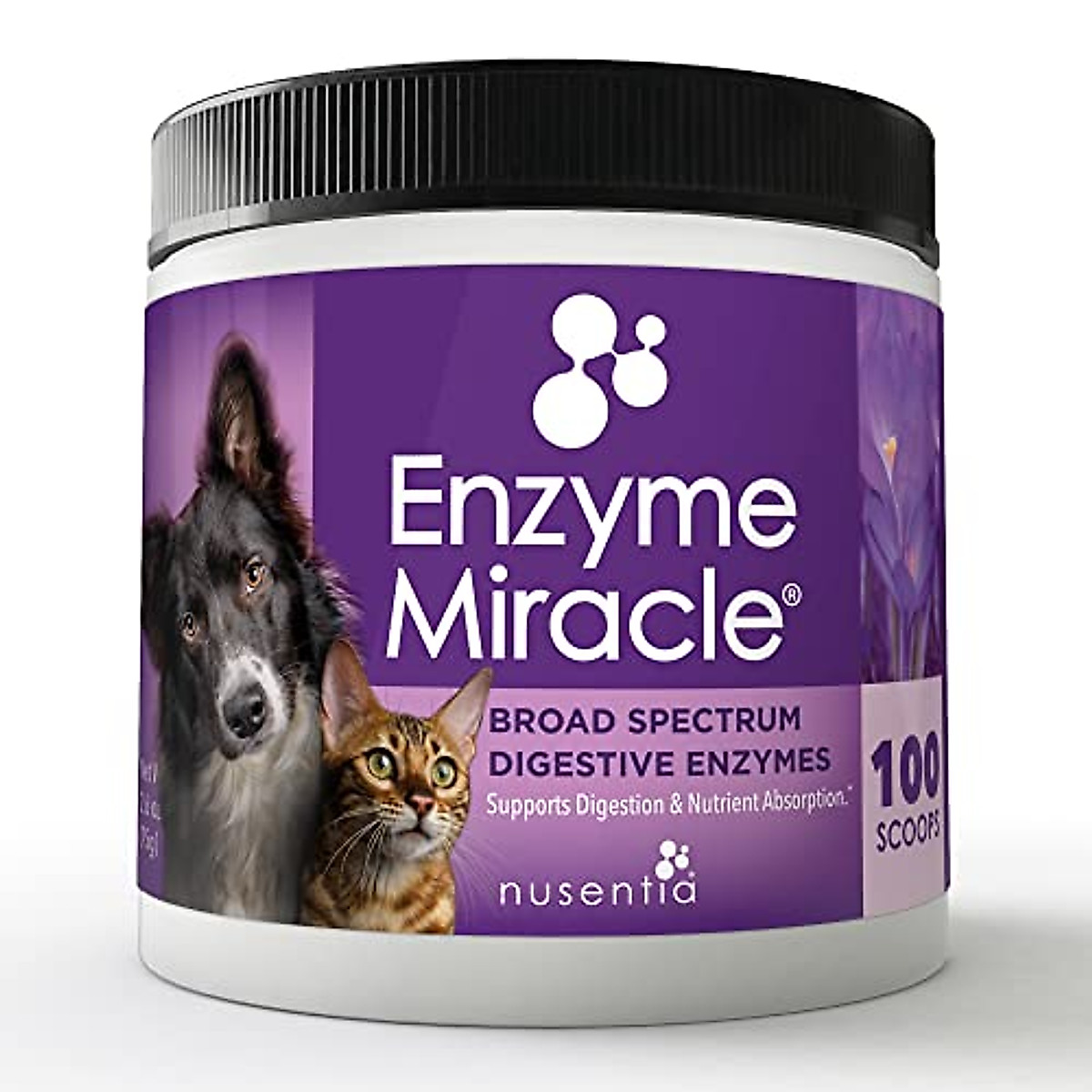 Enzymes for Cats & Dogs : Enzyme Miracle® (100 Servings) : for Digestive Stress, Pancreatic Concerns, and Healthy Weight Management.