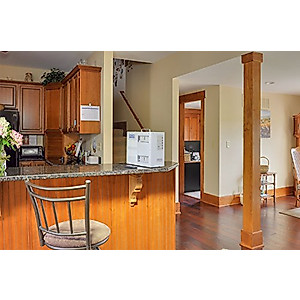 A2Z Ozone A7K Ozone Generator Repeat Timer | Remote Control, Eliminating Odors in Homes, Cars, Large Rooms