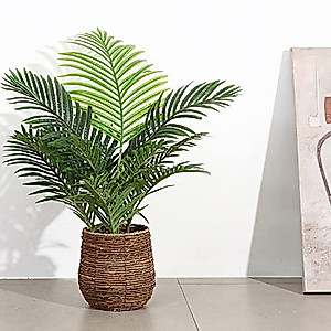 Fopamtri Fake Majesty Palm Plant 3 Feet Artificial Majestic Palm Faux Ravenea Rivularis in Pot for Indoor Outdoor Home Office Store, Great Housewarming Gift
