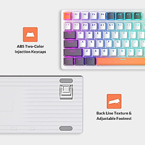 ZIYOU LANG K3 Mechanical Gaming Keyboard and Mouse Combo, 98Key Backlit Keyboard and Ultra-Light Honeycomb Shell Mouse, Red Switch Coiled Type-C to USB Cable Wired Keyboard for PC/Mac/Windows
