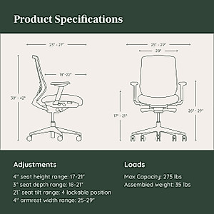 Branch Ergonomic Chair - A Versatile Desk Chair with Adjustable Lumbar Support, Breathable Mesh Backrest, and Smooth Wheels - Experience Optimal Comfort and Support - All Black