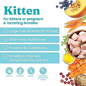 Solid Gold Dry Kitten Food - Made with Real Chicken and Sweet Potato - Touch of Heaven Grain Free Dry Cat Food for Kittens - Natural Support for Bone, Joint and Immune System Development