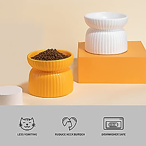 GOCESS Cat Food Bowls,Elevated-Cat Bowls for Food and Water,Ceramic Raised Cat Bowls for Indoor Cats and Small Dogs,Cat Dishes Set of 2,White