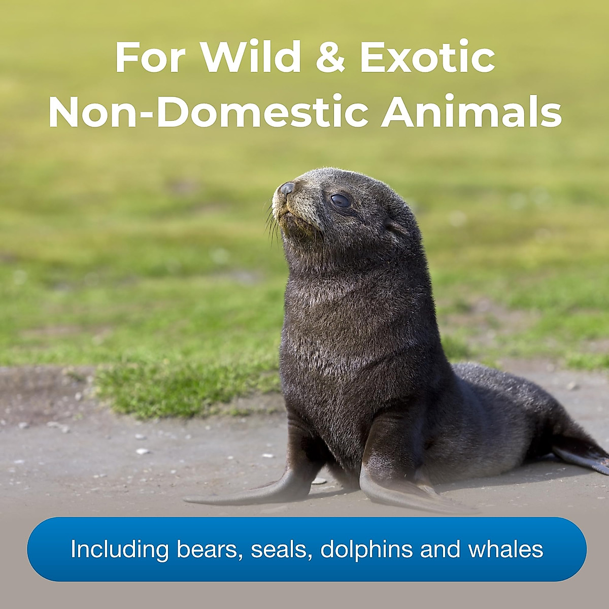 Pet-Ag Zoologic Milk Matrix 42/25 - 5 lb - Milk Protein Powder for Wild & Exotic Non-Domestic Animals