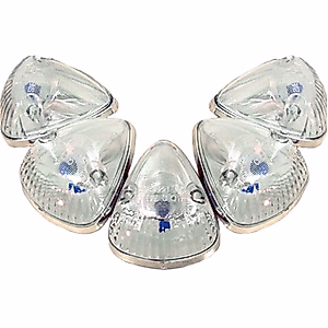 Recon 264141CL Clear Cab Roof Lights 1994-1998 Dodge Truck (5 Piece Set)