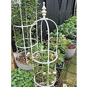 Metal Garden Obelisks, Climbing Plant Support Cage, Steel Pipe Obelisk Trellis for Climbing Plants, Rose and Plants, Black, White, Height: 90cm|120cm|150cm, Circle Diameter: 20cm|25cm|28cm. (Color :