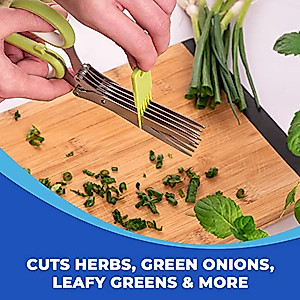 Jenaluca Herb Scissors with 5 Blades and Safety Cover - Cut, Chop & Mince Fresh Herbs & Leafy Greens - Stainless Steel Kitchen Shears with Cleaning Comb - Cool Kitchen Gadgets (Green)
