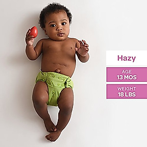 Blueberry One Size Simplex All in One Cloth Diapers, Made in USA (Picnic)