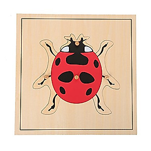 LEADER JOY Montessori Nature Materials Ladybug Puzzle for Early Preschool Learning Toy