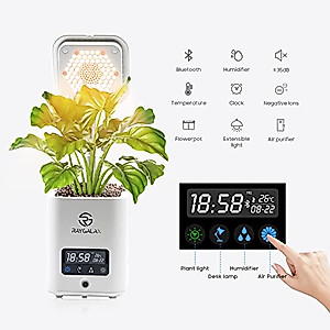 RayGalax Smart Planter for Indoor Plants, 20cm by 20cm Self Watering Pots Indoor Garden Grow Light with LED Table Desk Lamp Clock Humidifier Automatic Hydroponics Kit Planters for Herb, Small Plants