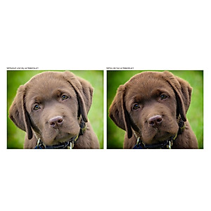 Digital Nc Canon EOS Rebel T3i High Grade Multi-Coated, Multi-Threaded, 3 Piece Lens Filter Kit (58mm) Made by Optics + Nwv Direct Microfiber Cleaning Cloth.