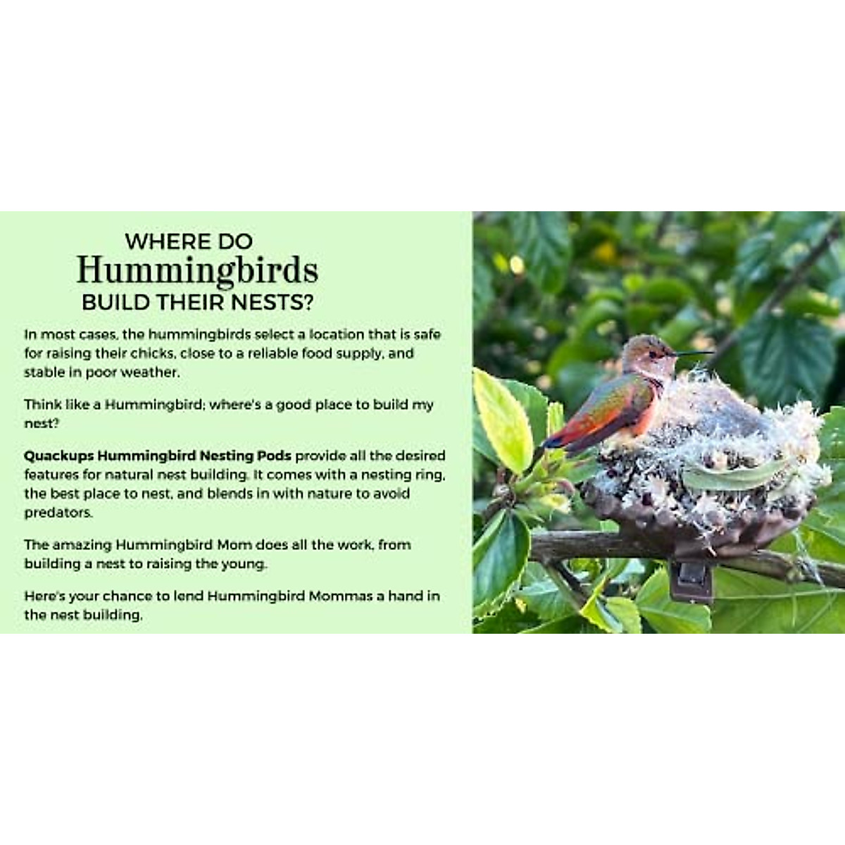 Quackups 2.6" Hummingbird Nesting Pods™, 2-Pk with Clips to Easily Attached on Branch for Outdoor Patio Garden Bird House