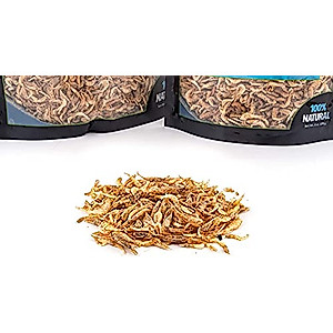 Fluker's Grub Bag Turtle Treat - River Shrimp 6oz - Includes Attached DBDPet Pro-Tip Guide