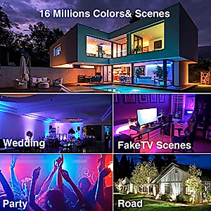 Smart RGB Flood Lights 30W, APP Control 16 Million and Tunable White 2700K-6500K, Outdoor Uplights Floodlights Color Changing Landscape Light, IP66 Waterproof for Patio Garden Yard, Plug & Play 2 Pcs