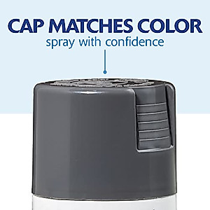 Rust-Oleum 334031-6PK Painter's Touch 2X Ultra Cover Spray Paint, 12 oz, Gloss Dark Gray, 6 Pack