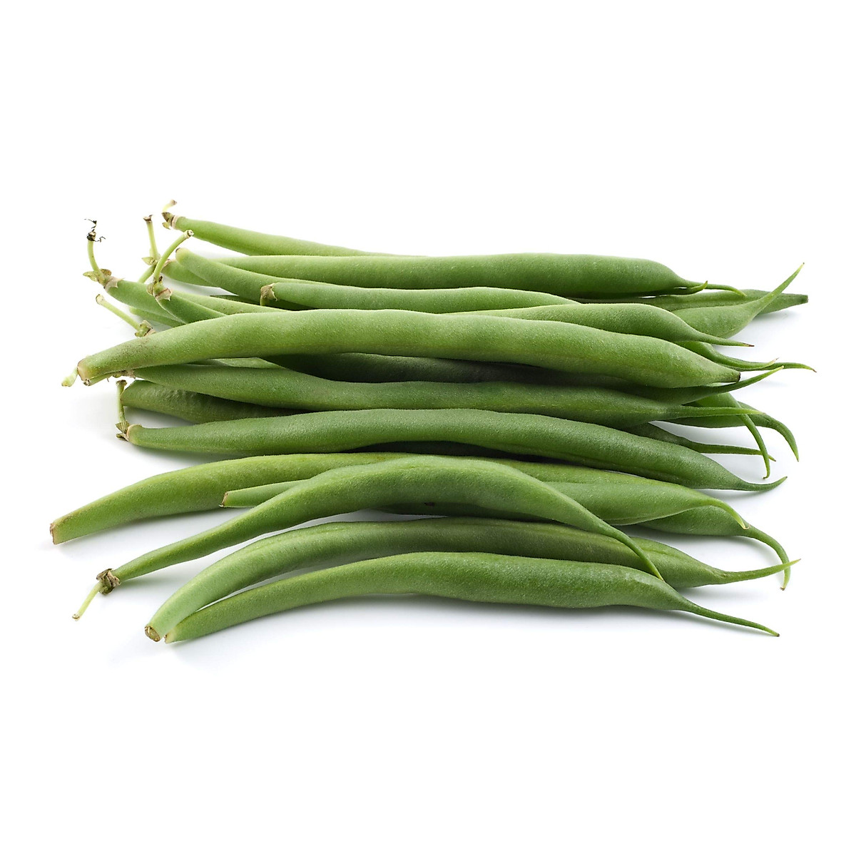 50 Green Bean Seeds for Planting - Provider - Bush Bean - Heirloom Non-GMO Vegetable Seeds for Planting