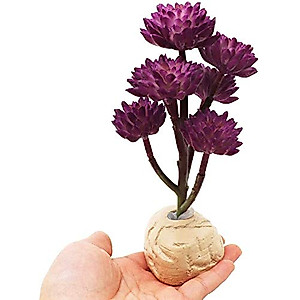 KERUIDENG Reptile Plants Artificial Terrarium Plants Reptile Plastic Plants for Reptile Habitats with Base -Purple…