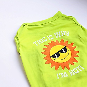 Dog Clothes Medium Size Dog Female Cat Clothes Vest Shirt Summer Shirt Puppy Small Pet Clothes Doggy Clothes for Small Dogs Girl